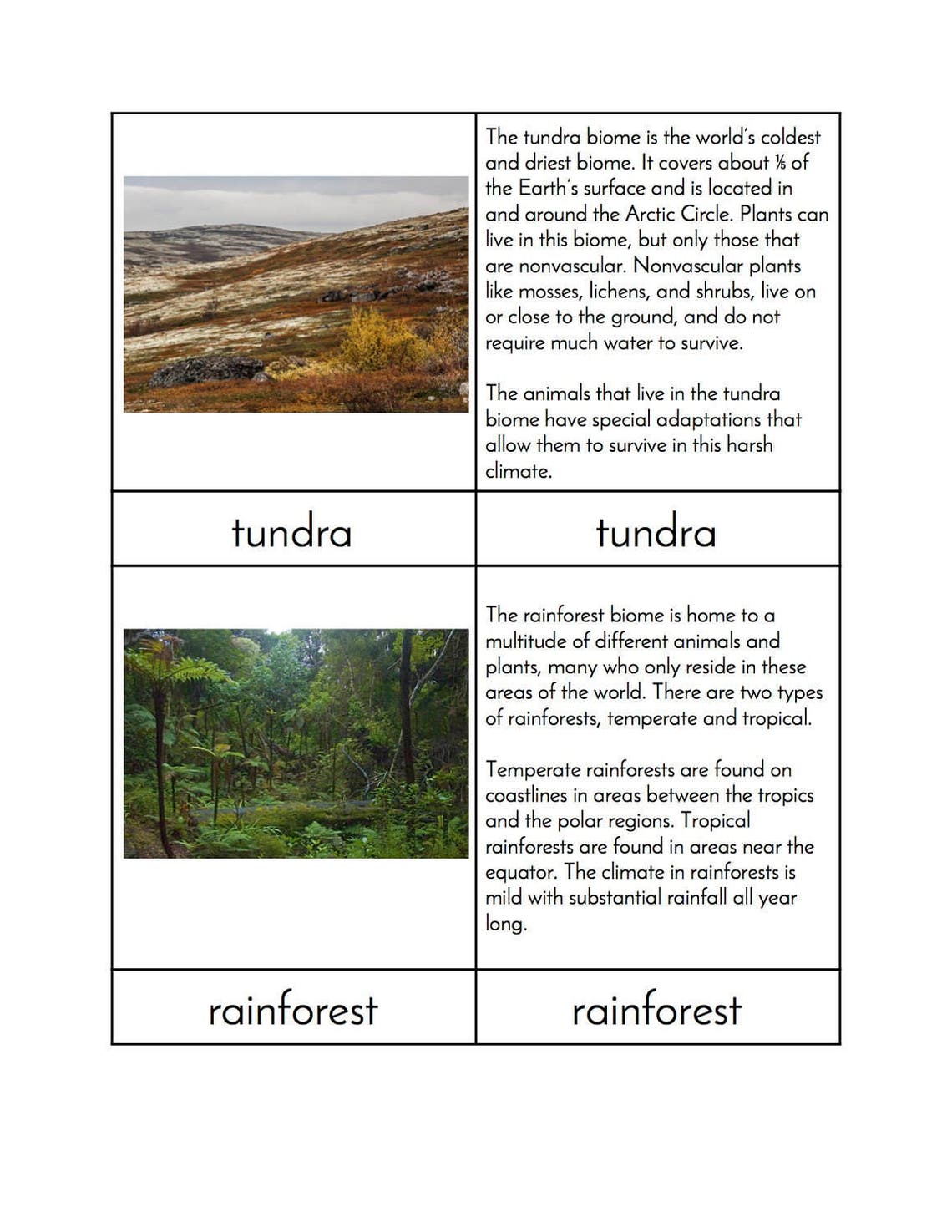 Biomes of the World Montessori Three/four Part Cards - Etsy