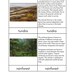 Biomes of the World Montessori Three/four Part Cards - Etsy