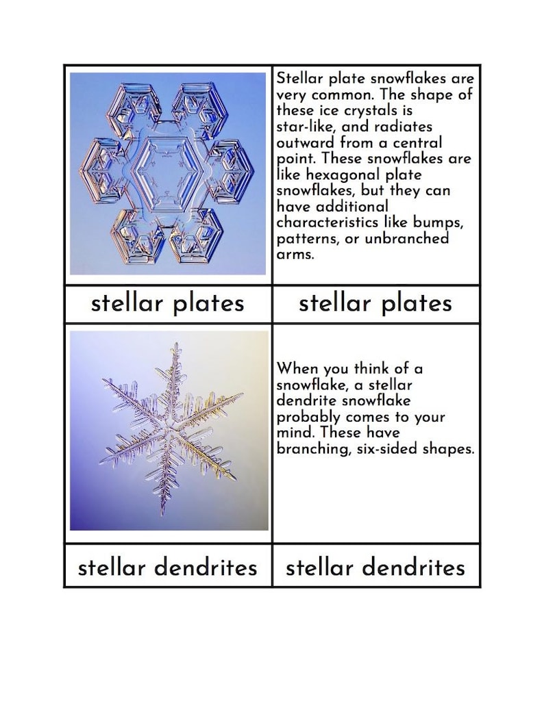 Formation and Types of Snowflakes Montessori Three/four Part - Etsy