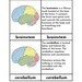 Lobes of the Brain Montessori Three/four Part Cards - Etsy