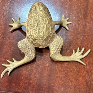 Vintage Brass Frog Toad Open Mouth Design Trinket Holder, Paperweight ...