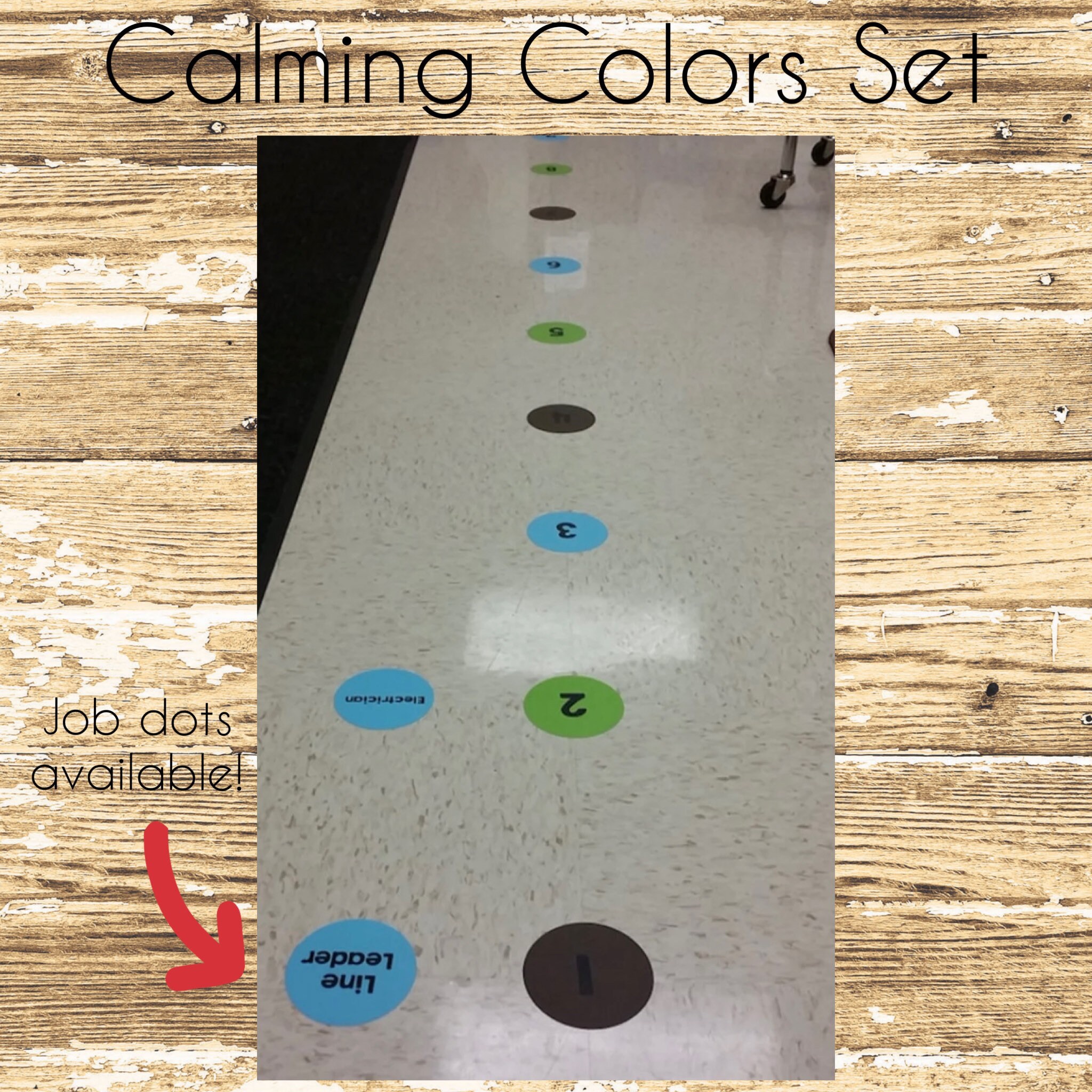 Vinyl Classroom Line up Dots- Multiple Quantities & Colors Available - Etsy