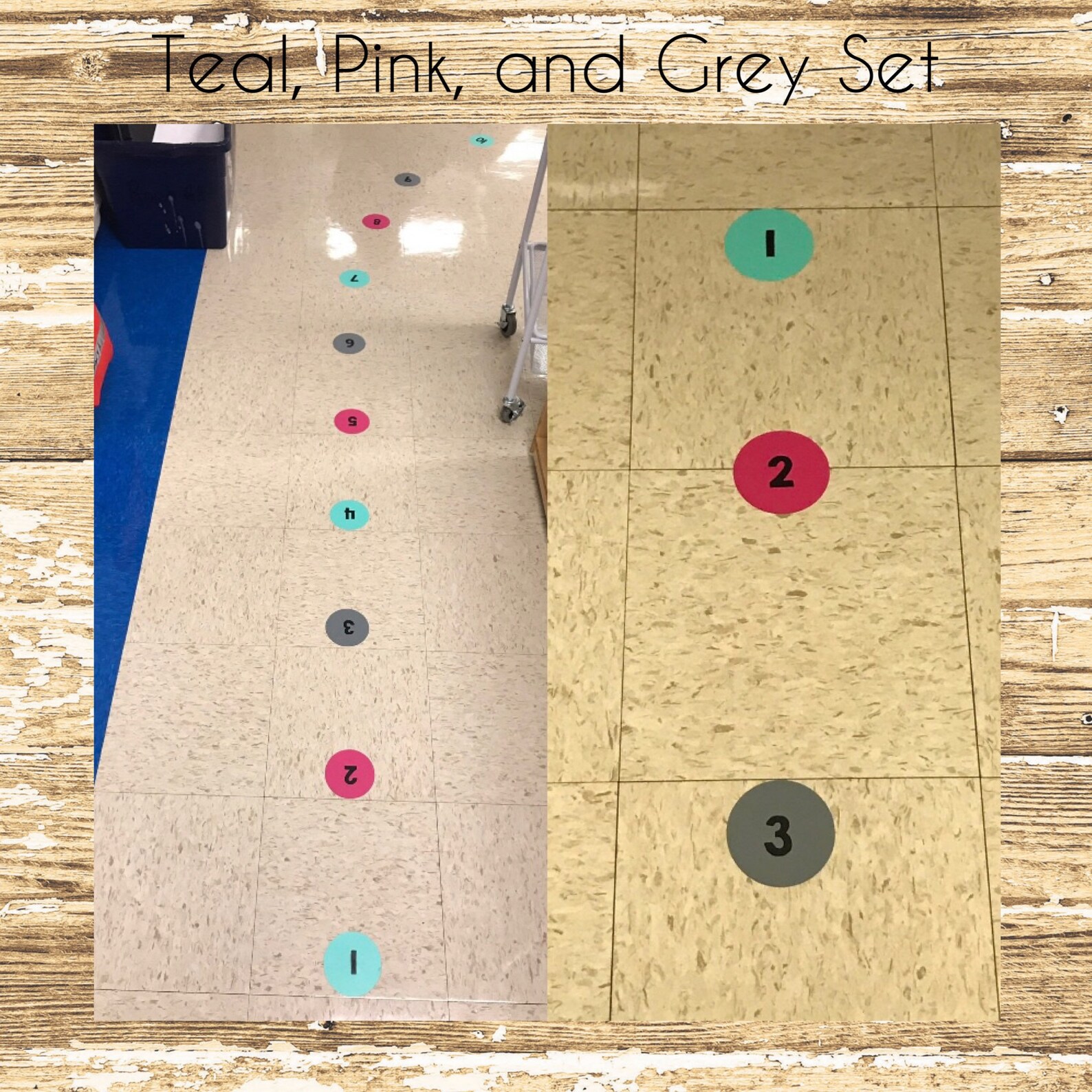 Vinyl Classroom Line up Dots- Multiple Quantities & Colors Available - Etsy