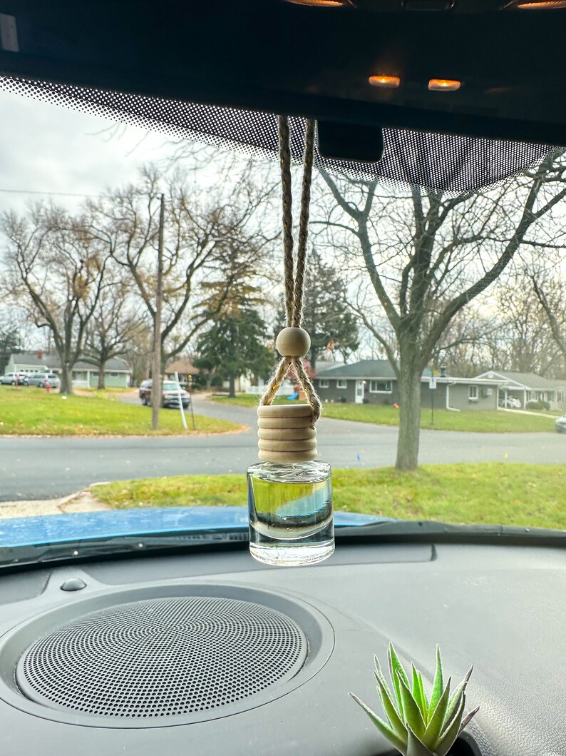 Hanging Car Freshie | Car Essential Oil Diffuser | Car Air Freshener - Etsy