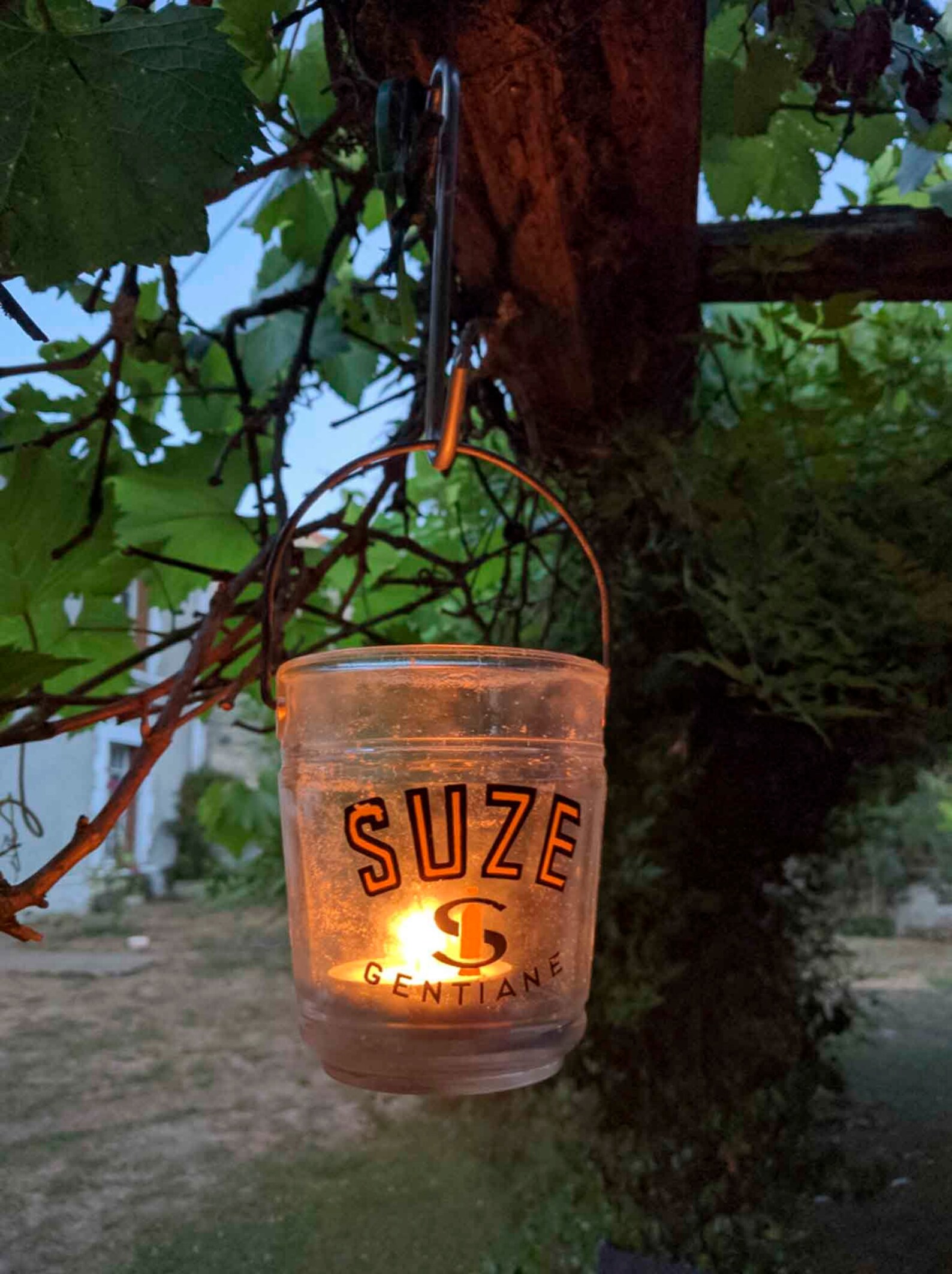 Suze Glass Ice Bucket, Gentiane Aperitif, Hanging Lantern Candle Holder ...