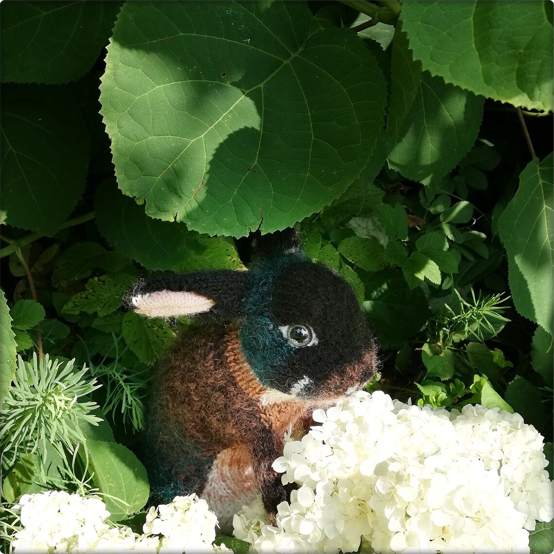 Knitted Black Otter Rex Rabbit Lover Gift for Easter Wild | Etsy