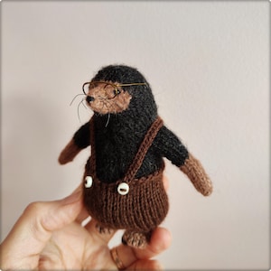 Knitted MOLEY Character Toy * Dressed Wise Mole Toy * Mole Plush Gift ...