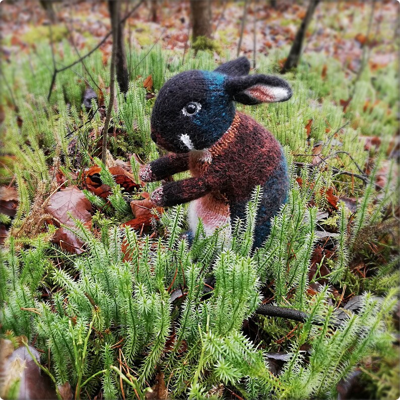 Knitted Black Otter Rex Rabbit Lover Gift for Easter Wild | Etsy UK