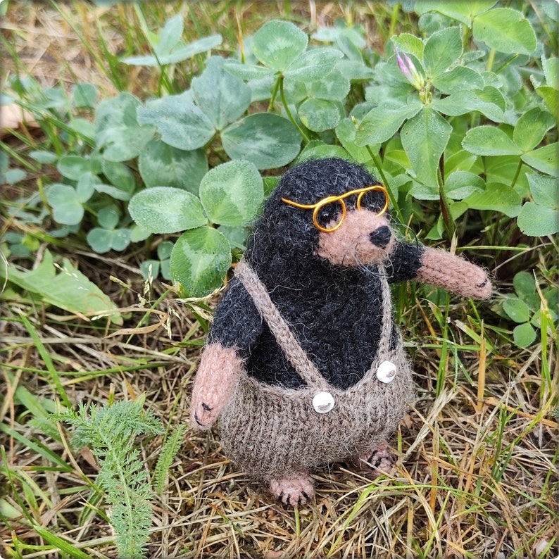 Knitted Mole Plush Toy, Dressed Moley From Wind in the Willows Stories ...