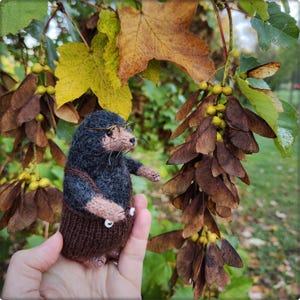 Knitted MOLEY Character Toy * Dressed Wise Mole Toy * Mole Plush Gift ...