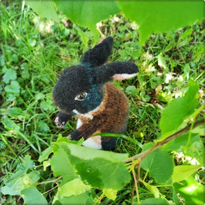 Knitted Black Otter Rex, Rabbit Lover Gift for Easter, Wild Stuffed ...