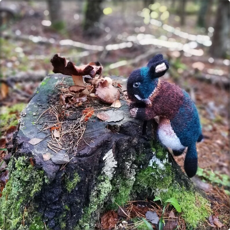 Knitted Black Otter Rex Rabbit Lover Gift for Easter Wild - Etsy UK