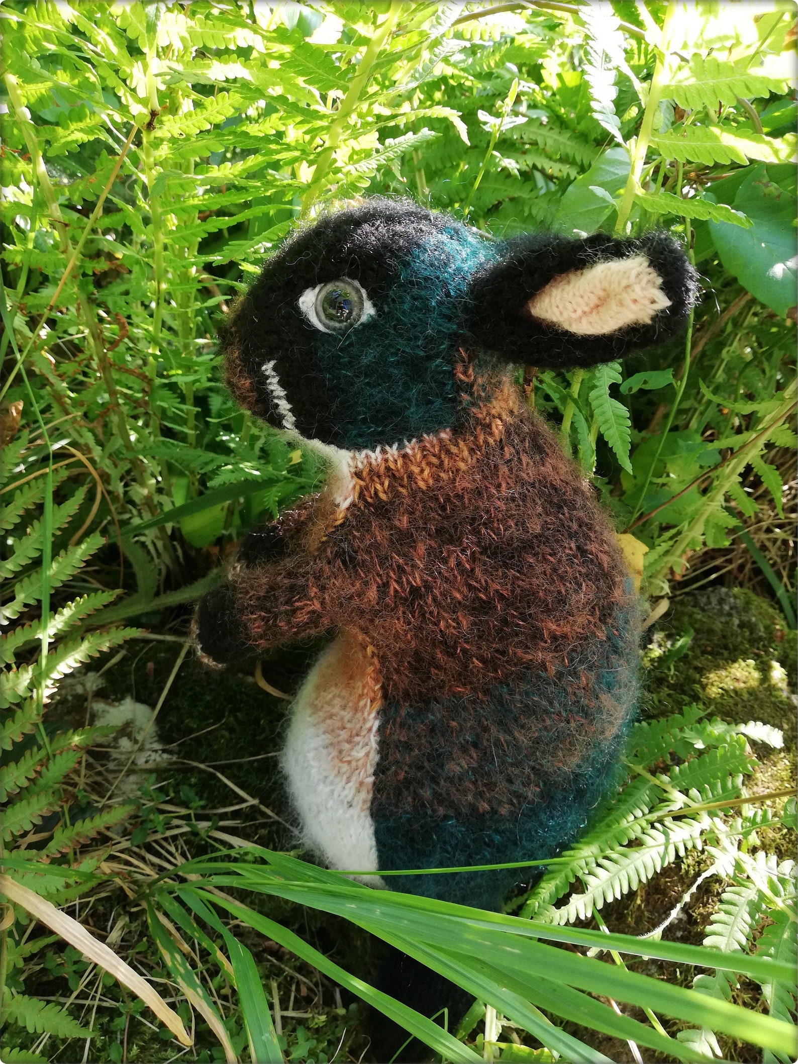 Knitted Black Otter Rex Rabbit Lover Gift for Easter Wild - Etsy UK