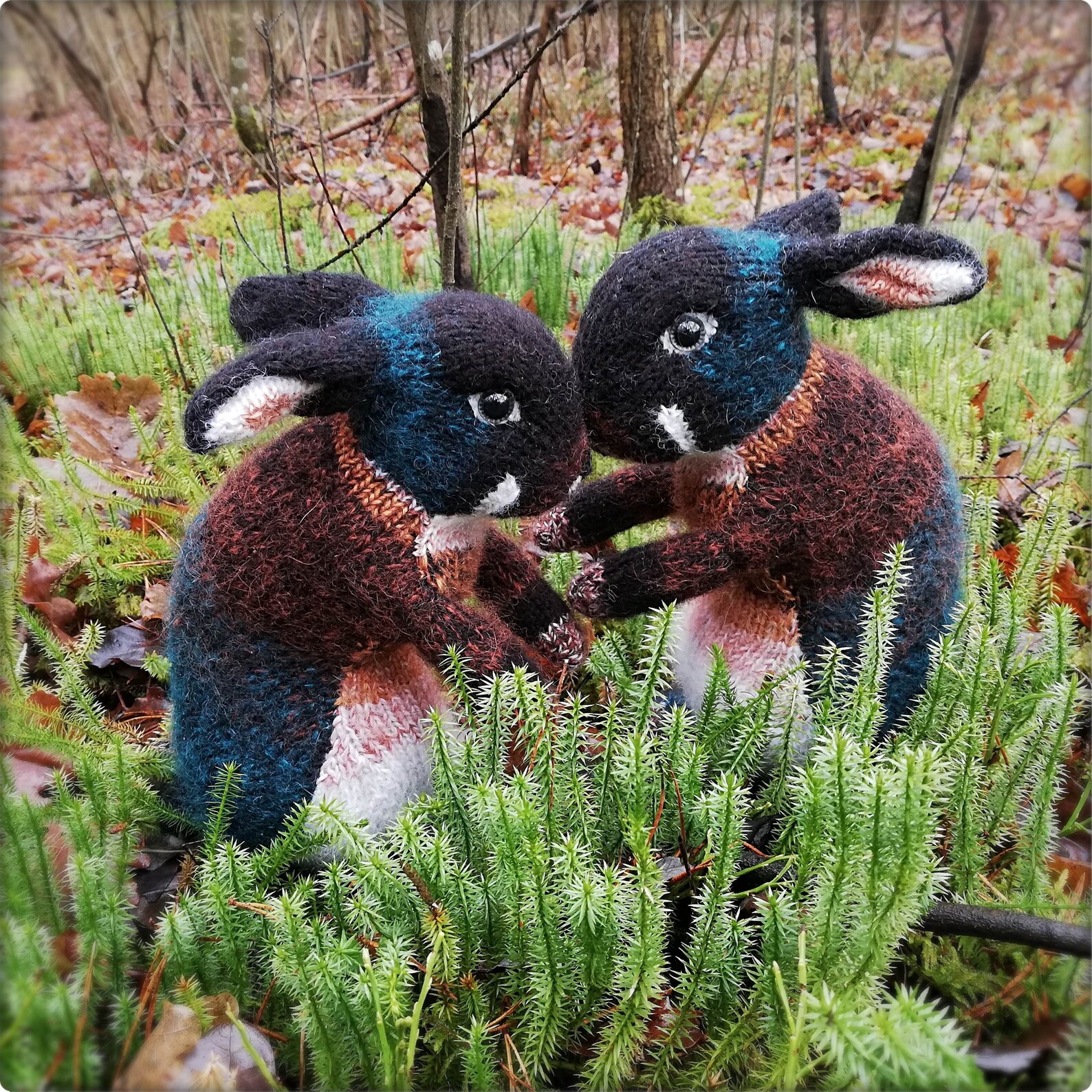 Knitted Black Otter Rex Rabbit Lover Gift for Easter Wild - Etsy UK