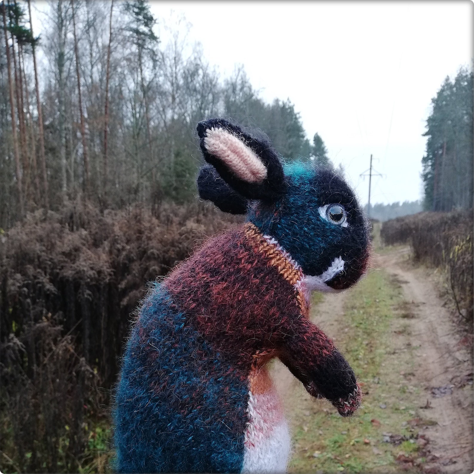 Knitted Black Otter Rex Rabbit Lover Gift for Easter Wild - Etsy UK