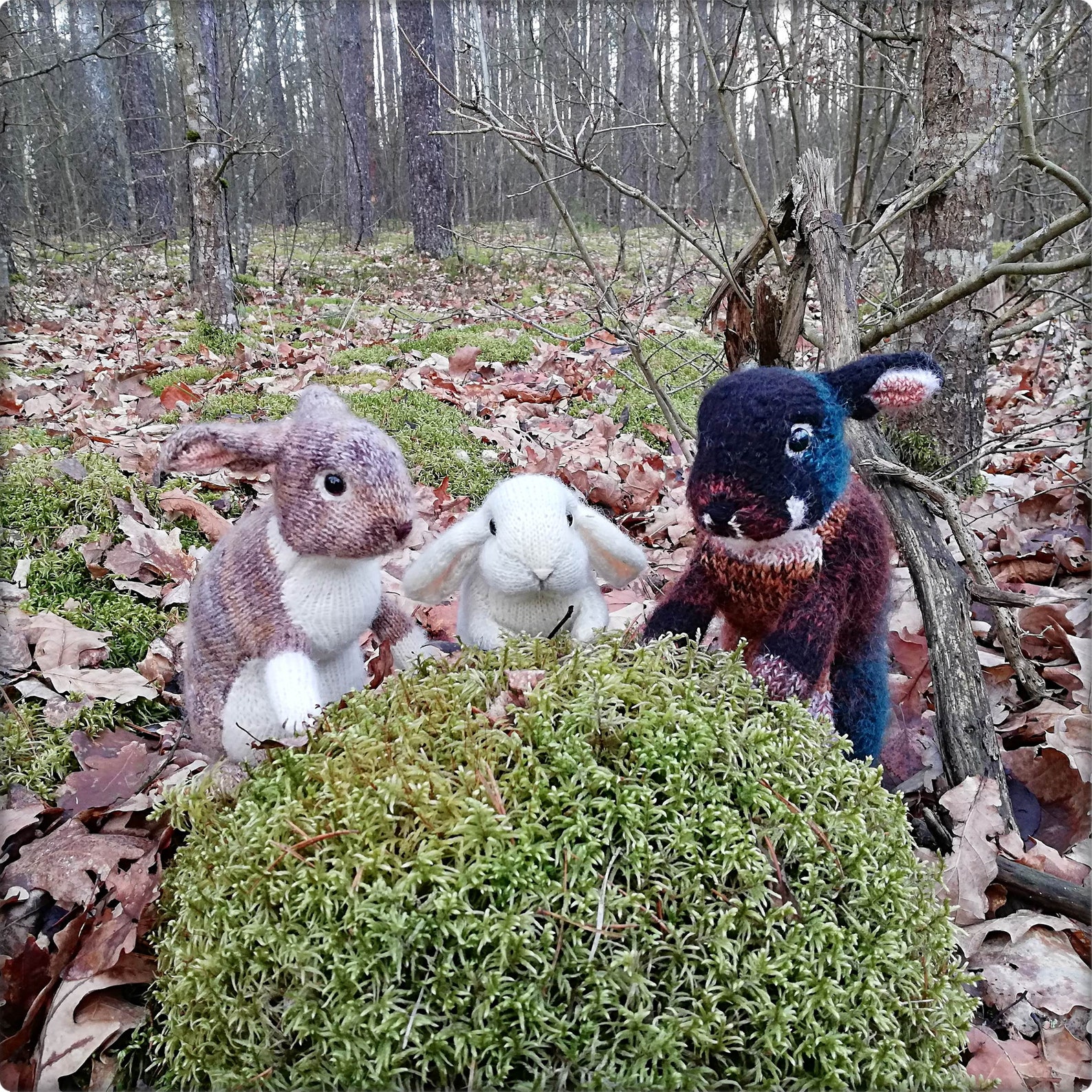 Knitted Black Otter Rex Rabbit lover gift for Easter Wild | Etsy