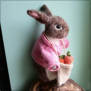 Knitted Wild Rabbit With a Bag of Carrots * Lovely Rabbit Lover Gift ...