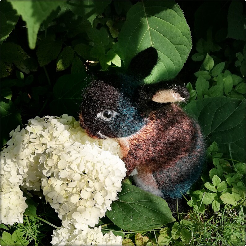 Knitted Black Otter Rex Rabbit Lover Gift for Easter Wild | Etsy UK