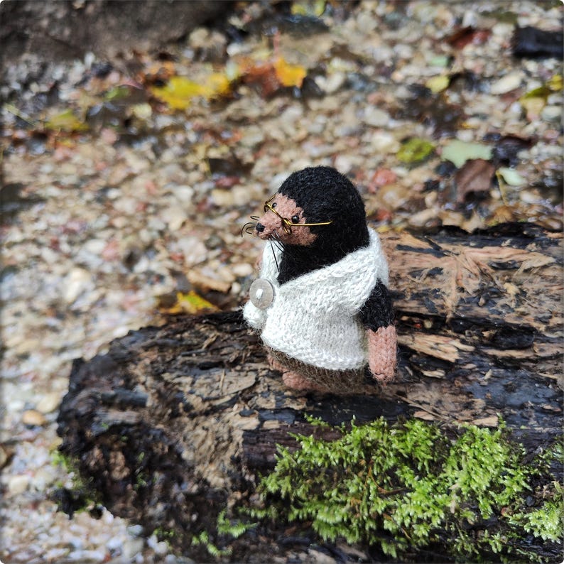 Knitted Mole Plush Toy, Dressed Moley From Wind in the Willows Stories ...