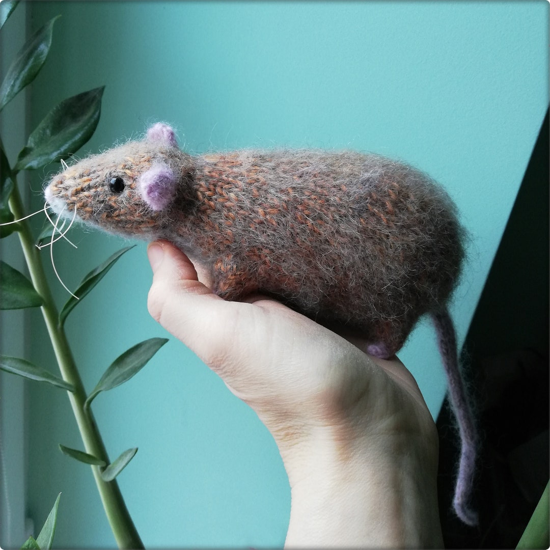 Knitted Realistic Rat Toy * Custom Rat Replica as Pet Memorial Gift - Etsy