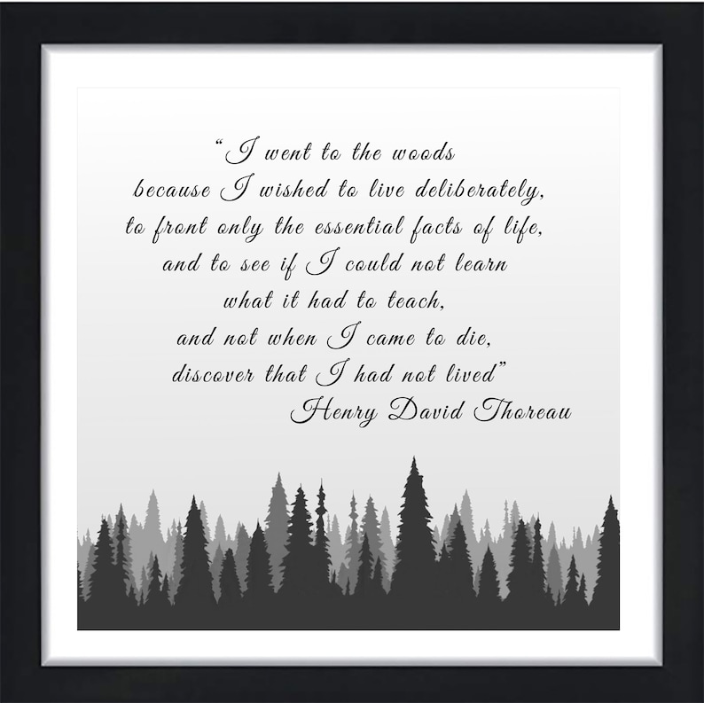 FRAMED Henry David THOREAU Quote Walden PRINT I Went to the Woods ...