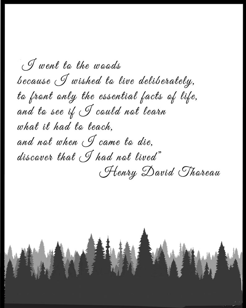 FRAMED Henry David THOREAU Quote Walden PRINT- I Went to the Woods ...