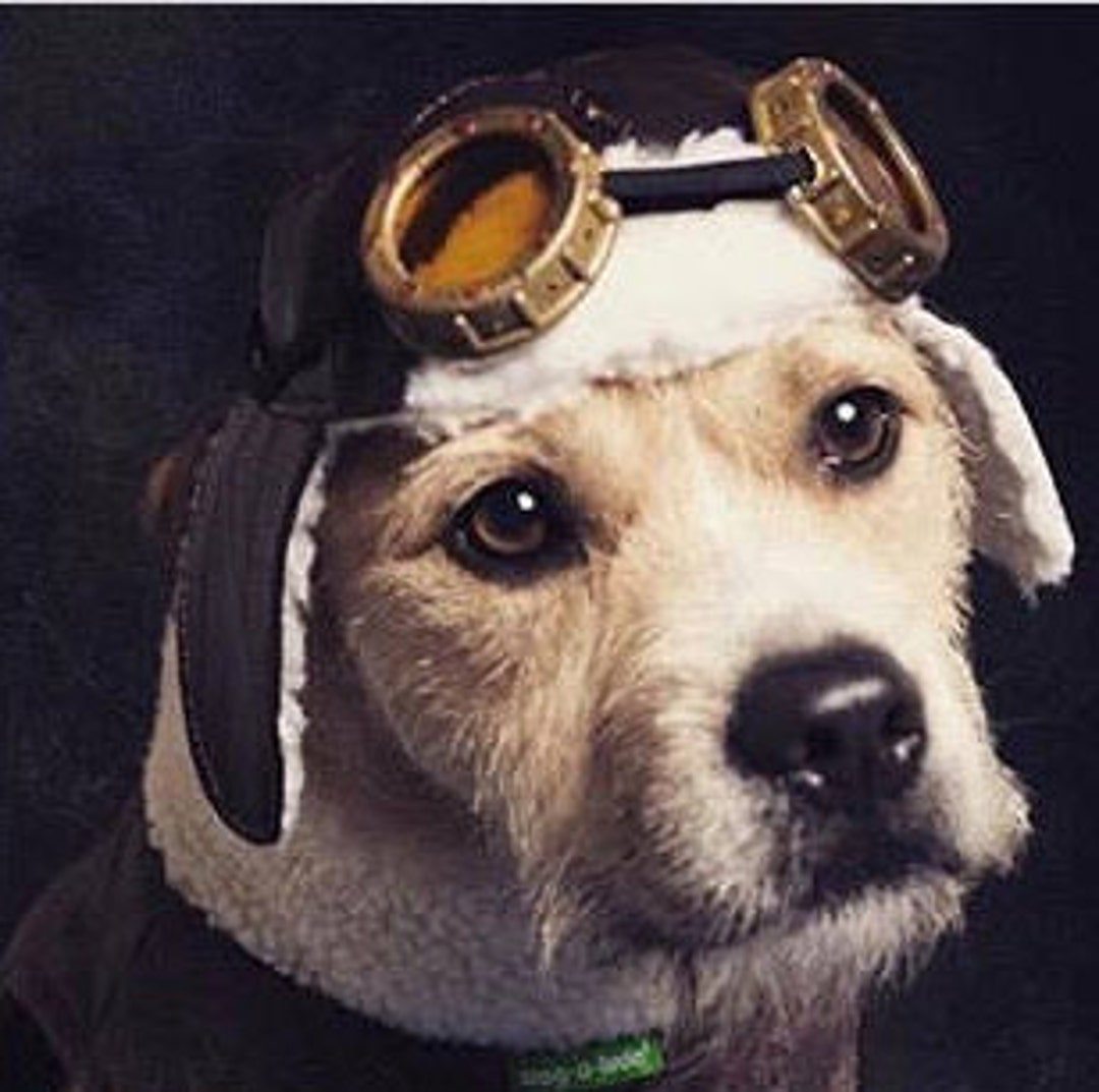 Aviator Dog Cap, Black, Steampunk Goggles - Etsy