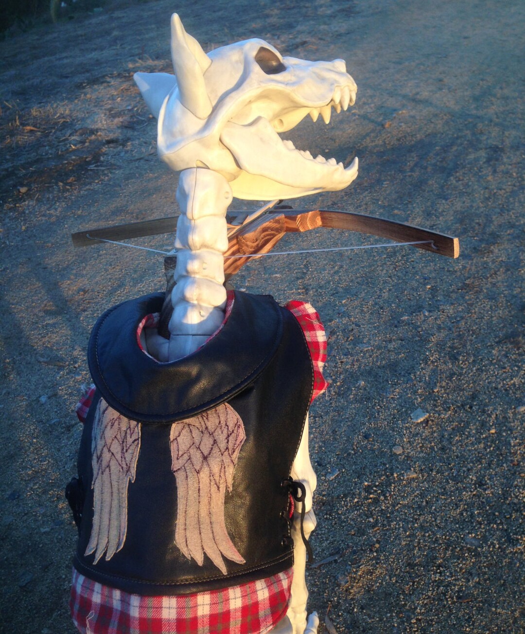 Biker Dog Vest, Walking, Dead, Costume for Dog, Daryl, Dixon, Leather ...