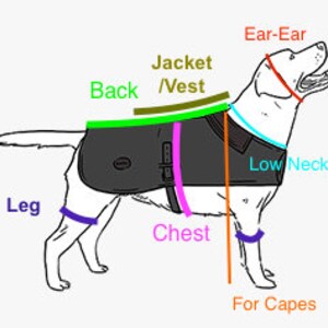 Aviator Dog Costume With Cap, Steampunk, Wingman, Pilot, Wings ...