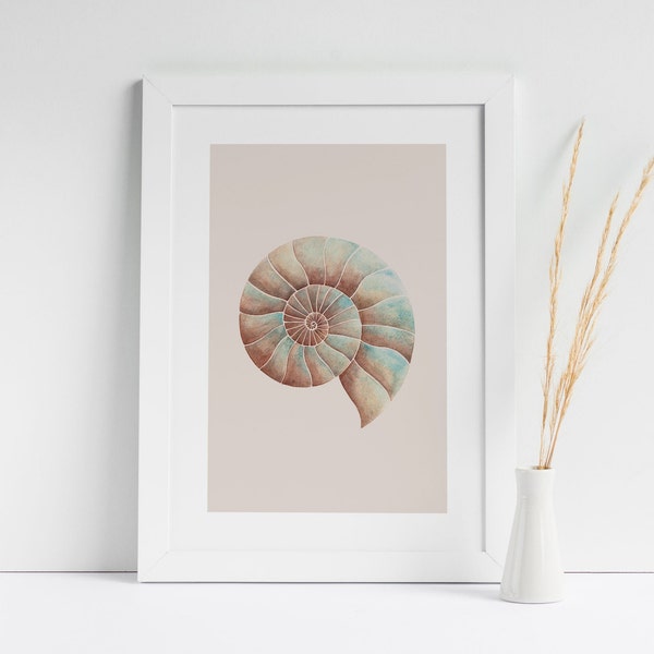 Ammonite - Etsy