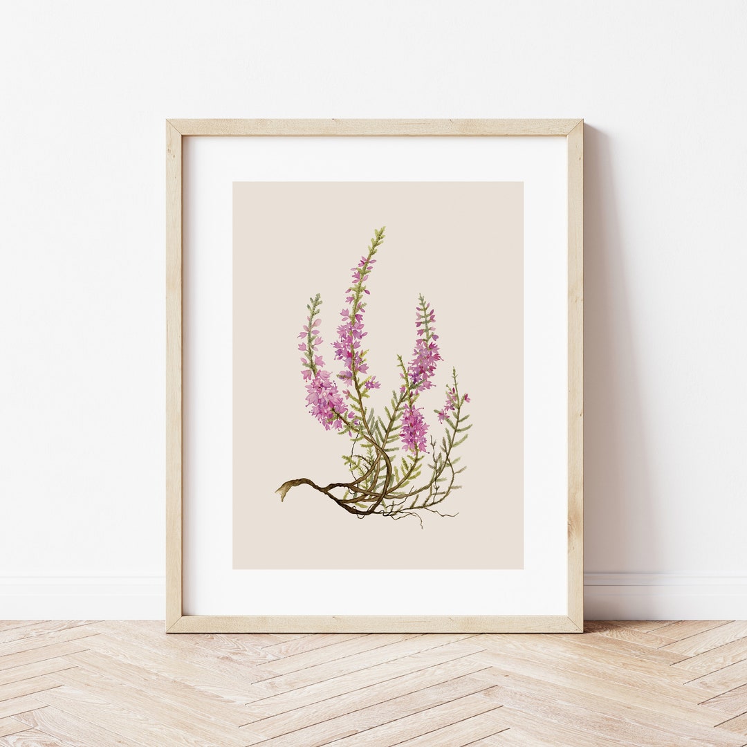Heather Print, Neutral Heather Watercolour Print, Botanical Wall Art ...