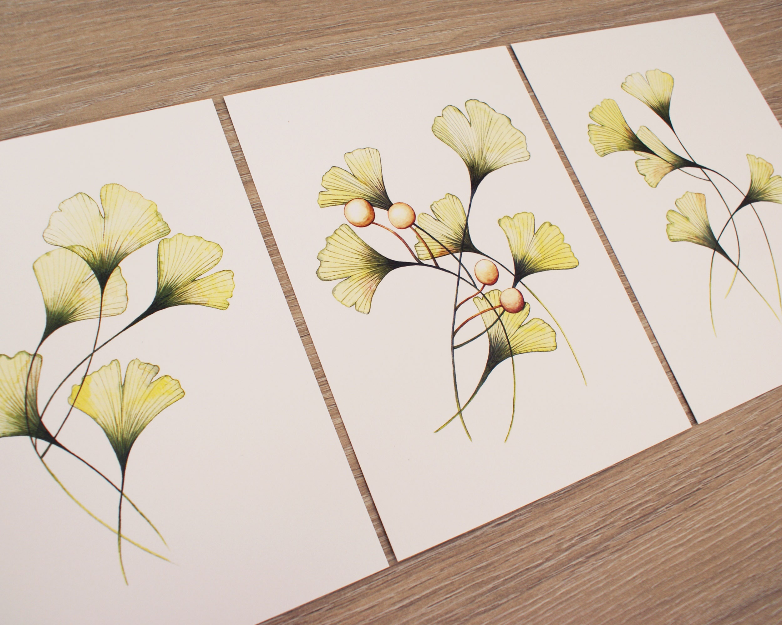 Set of 3 Botanical Prints Ginkgo Print Watercolour Art | Etsy