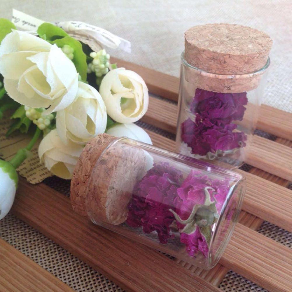 Transparent Clear Glass Bottles Corks Cover Test Tube Jars - Etsy
