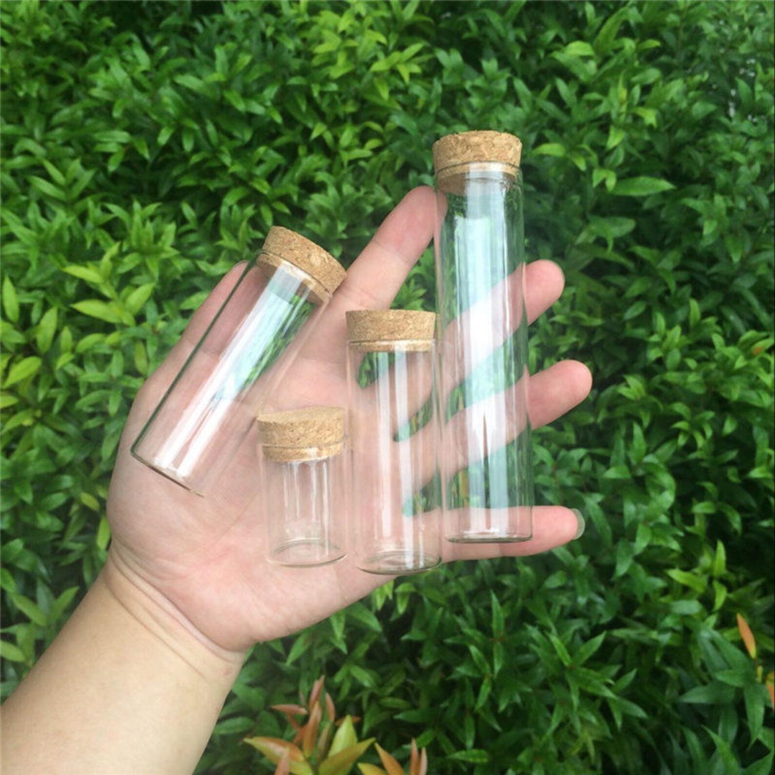 Transparent Clear Glass Bottles Corks Cover Test Tube Jars - Etsy