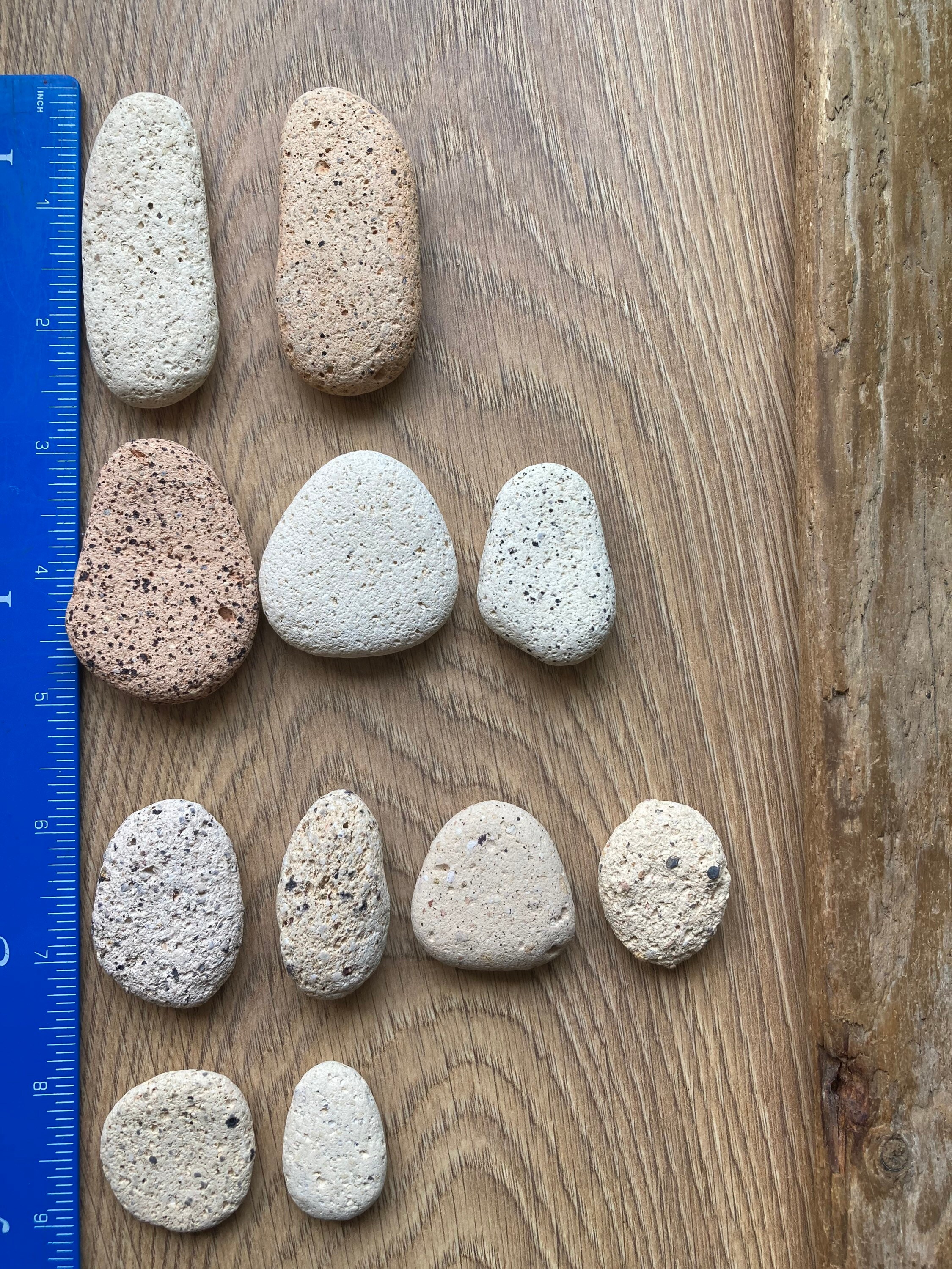 Scottish Sea Brick Chunky Sea Brick Sea Brick Pieces - Etsy UK