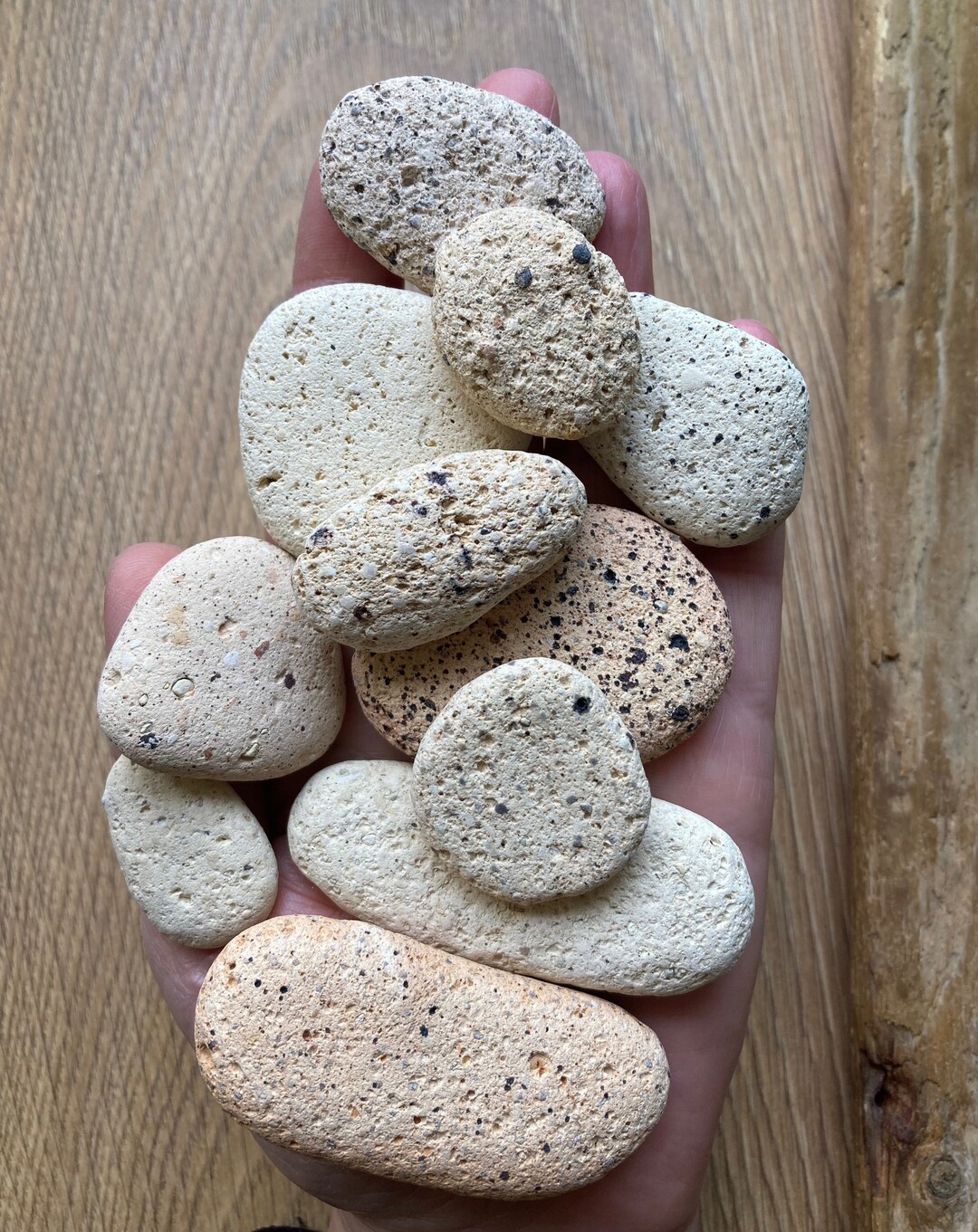 Scottish Sea Brick , Chunky Sea Brick , Sea Brick Pieces , Brick Pieces ...