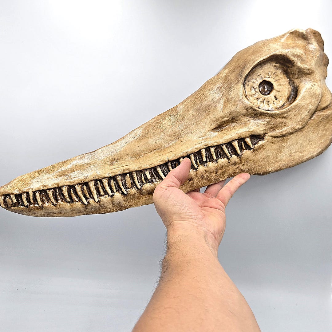 NOT 3D Printed. Ichthyosaur Skull Fossil Replica Decor Prop Gift Animal ...