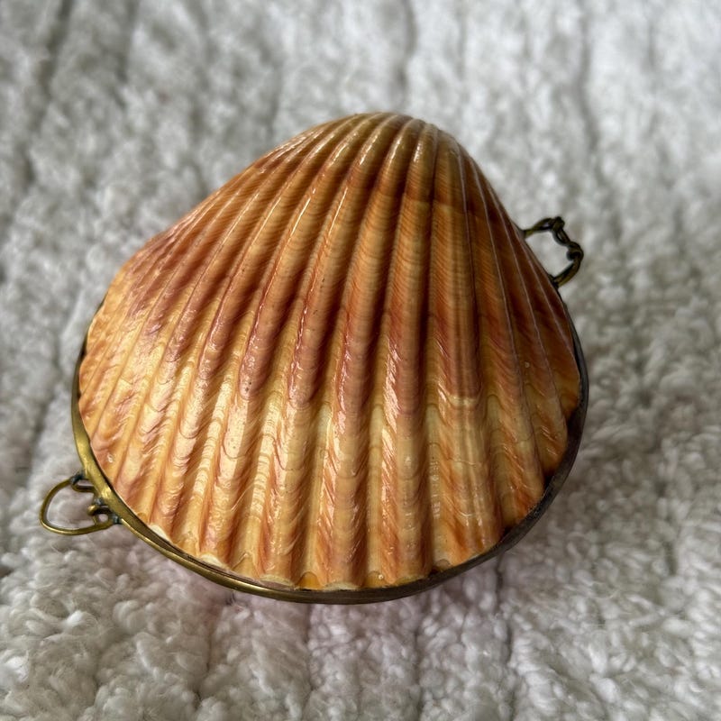 Shell Ring Box - Etsy