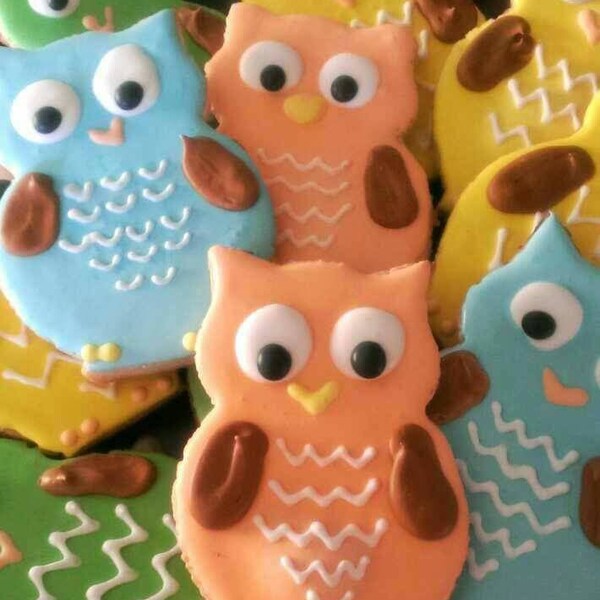 Owl Cookies - Etsy