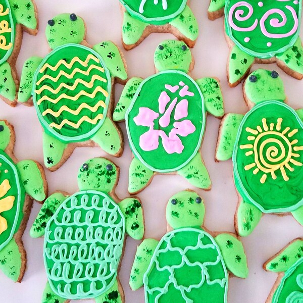 Turtle Cookies - Etsy