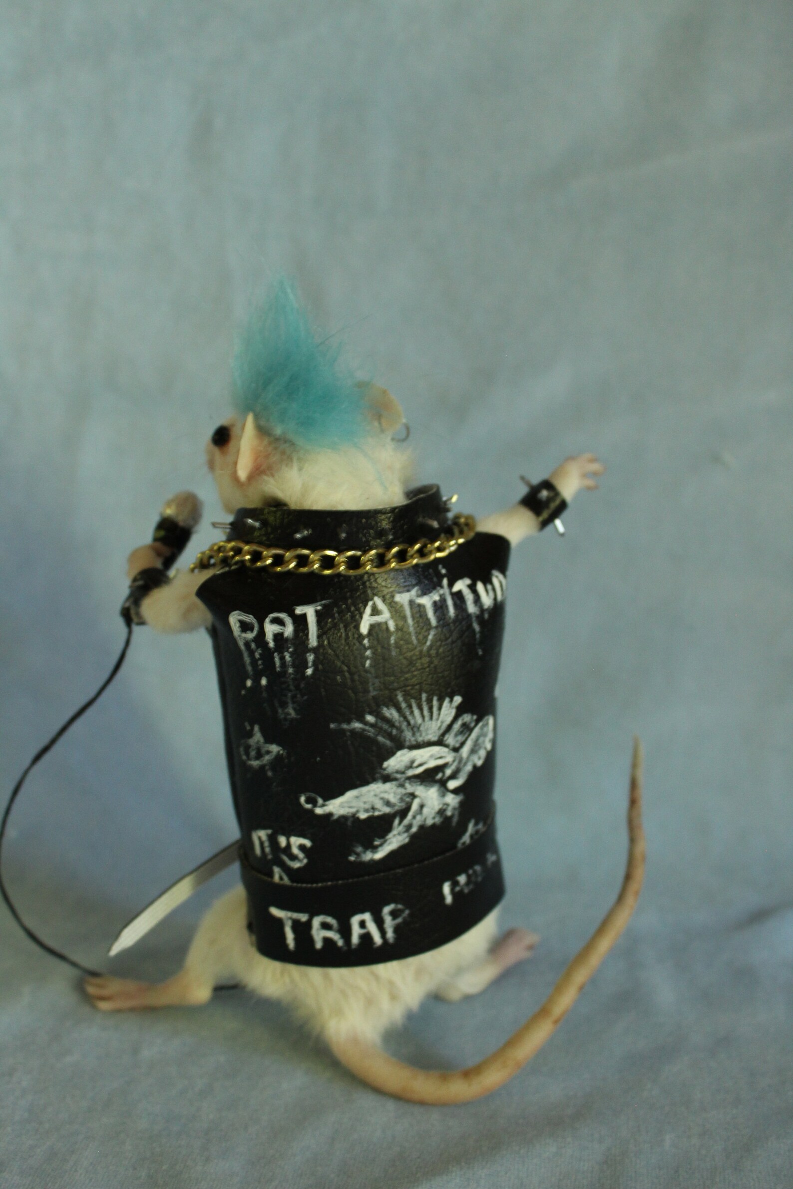 Taxidermy Rat Punk Rock Star Taxidermy Rat Punk Rocker Cabinet of ...