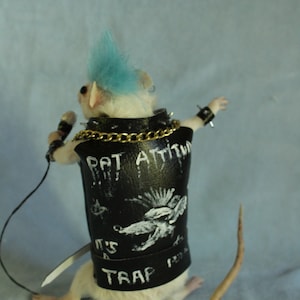 Taxidermy Rat Punk Rock Star Taxidermy Rat Punk Rocker Cabinet of ...