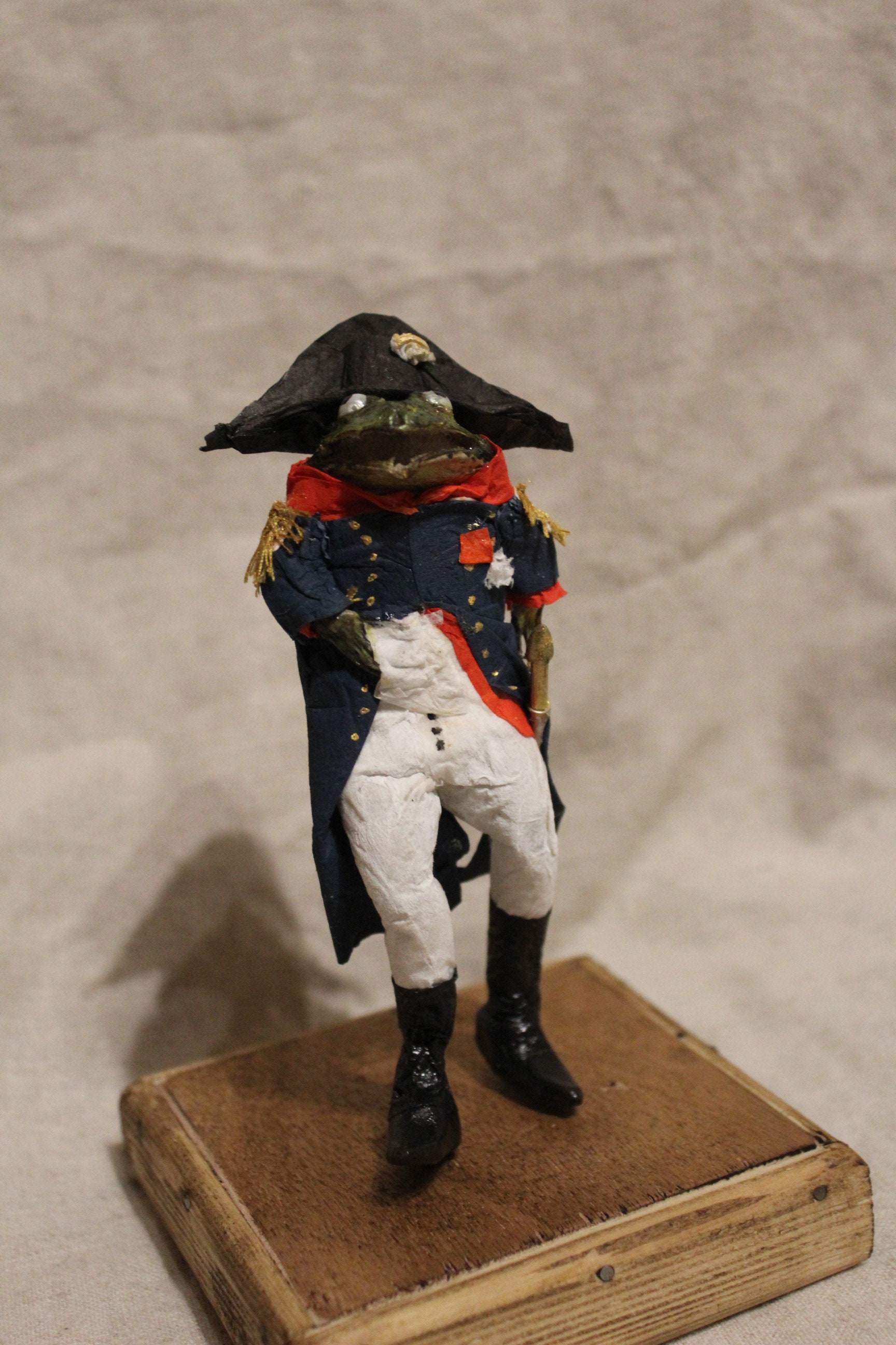 Taxidermy Frog Napoleon Taxidermy Frog Emperor Curiosity | Etsy