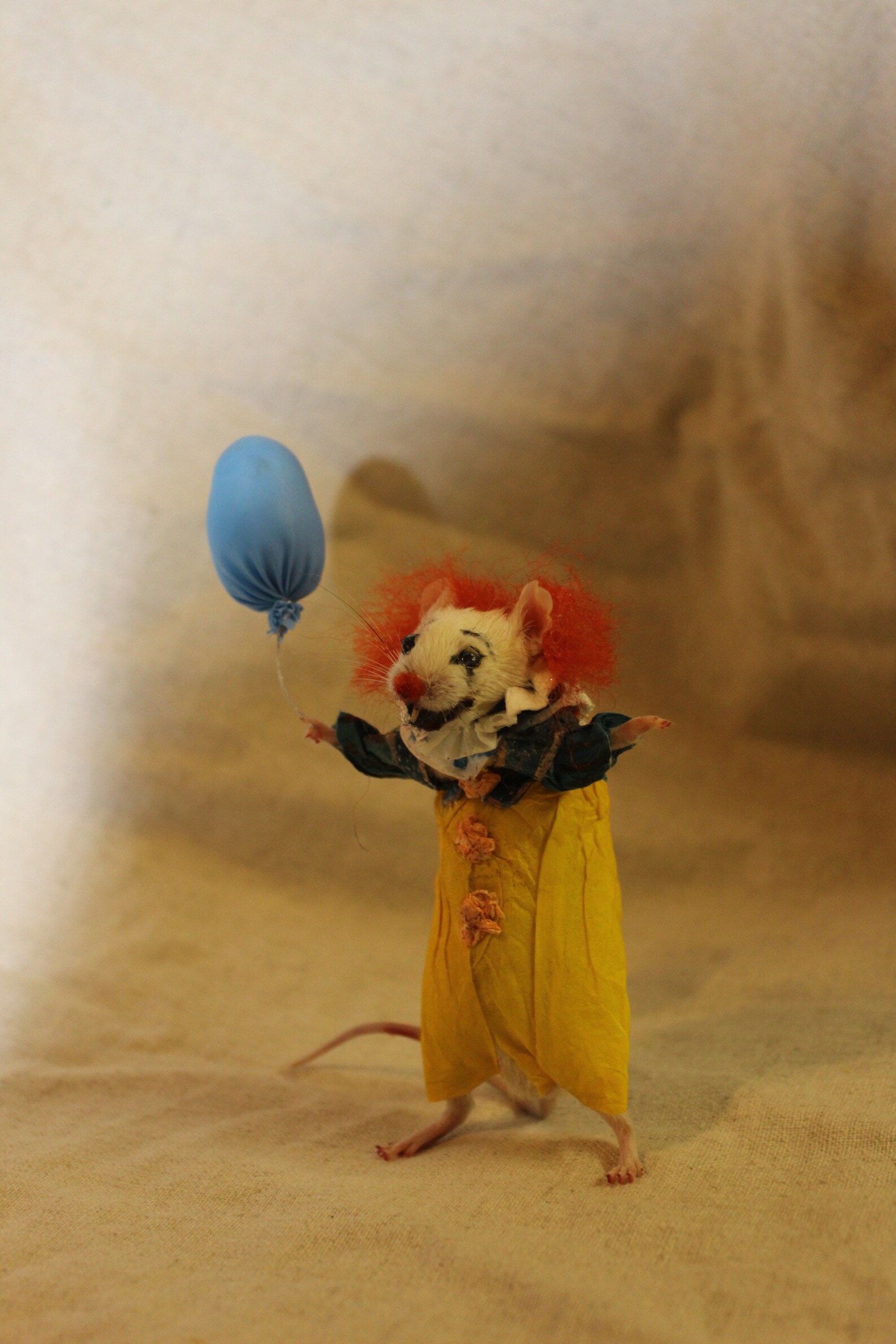 Taxidermy rat clown mouse it taxidermy rat | Etsy