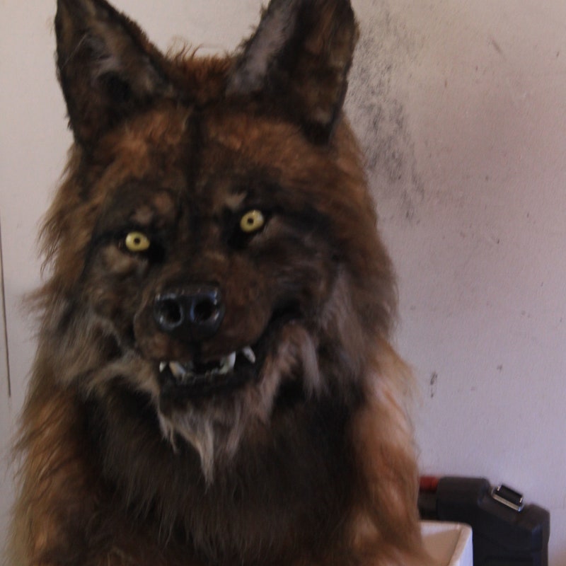 Werewolf Costume - Etsy UK