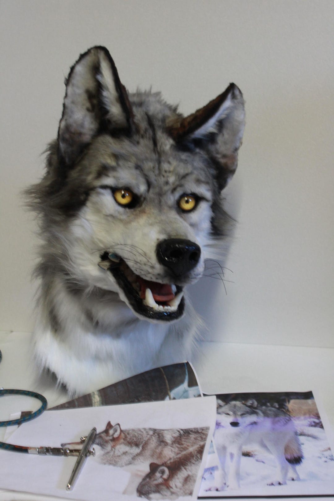 Gray Wolf Fursuit Mask. Realistic Fur Costume. Wolf Head Fursuit ...