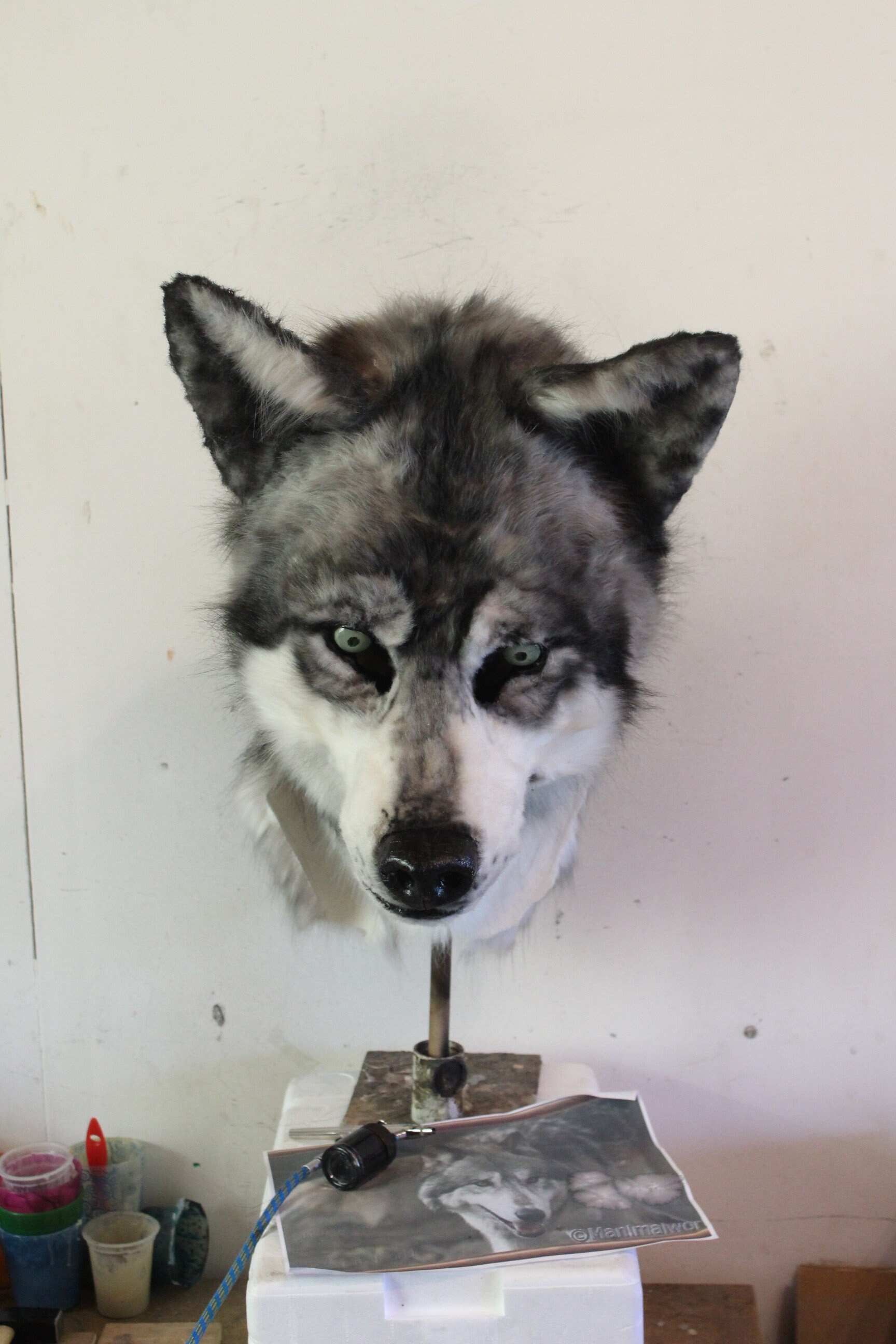Grey Wolf Mask Fursuit Mask Wolf Fursuit to Book | Etsy