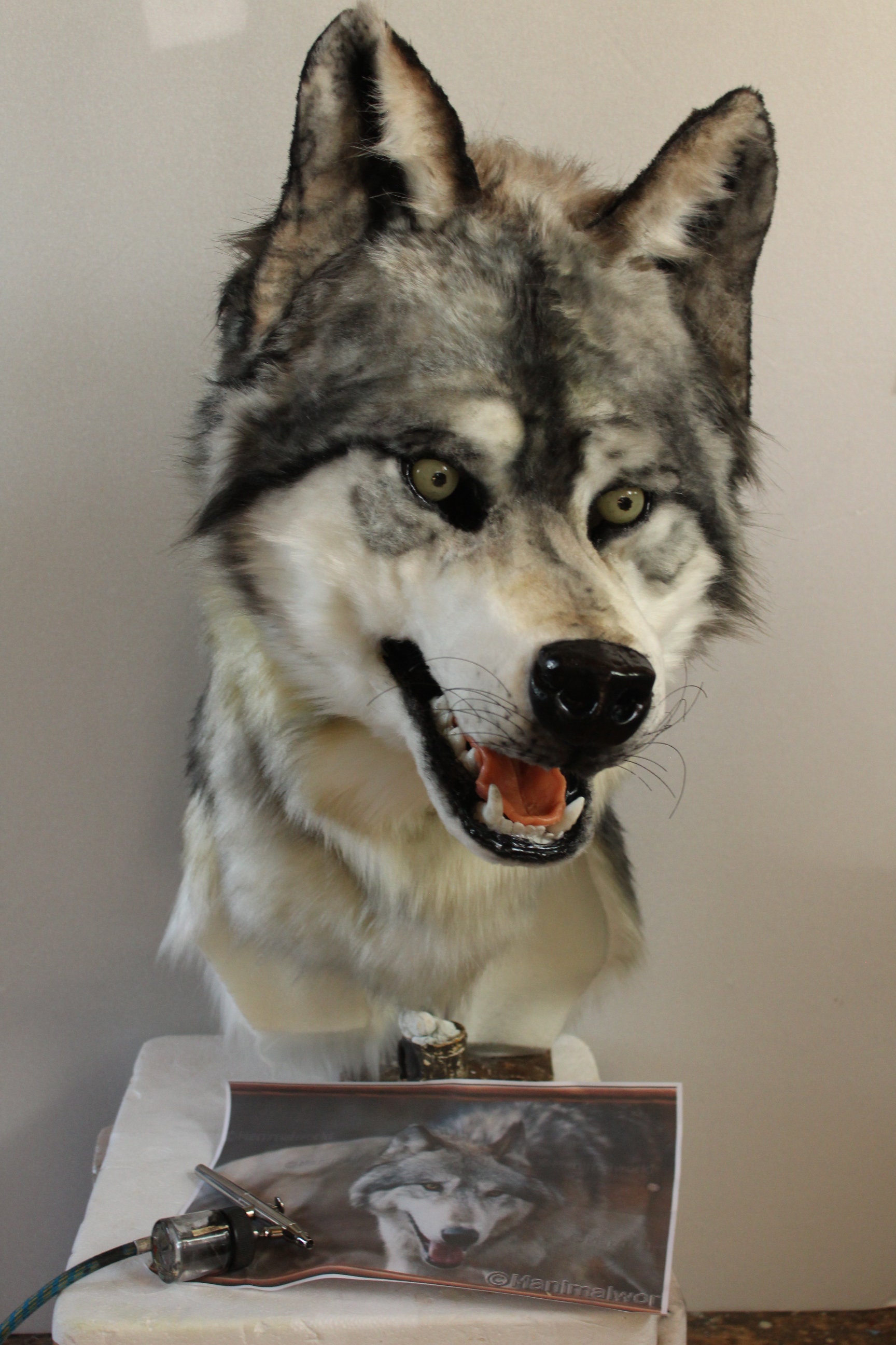 Grey Wolf Mask Fursuit Mask Wolf Fursuit to Book - Etsy UK