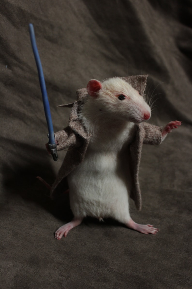 Taxidermie rat jedi stars wars taxidermy rat kuriose praxis | Etsy