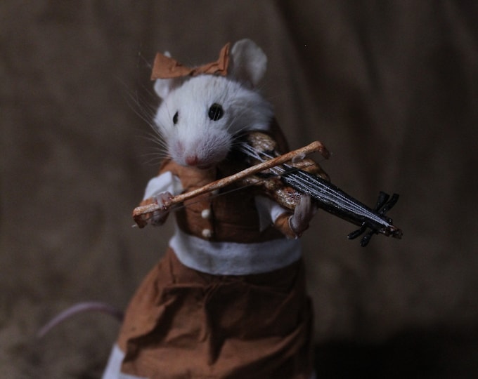 Taxidermy Mouse Musician Violinist Taxidermy Mouse Cabinet of Curiosity ...